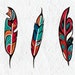 Haida Feather Clip Art, 12 Indigenous Clipart PNG Format, Instant ...