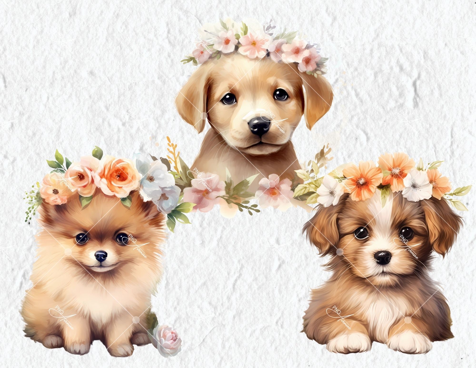 Cute Puppy Clipart, PNG Files, Adorable Baby Puppies, PNG Digital ...