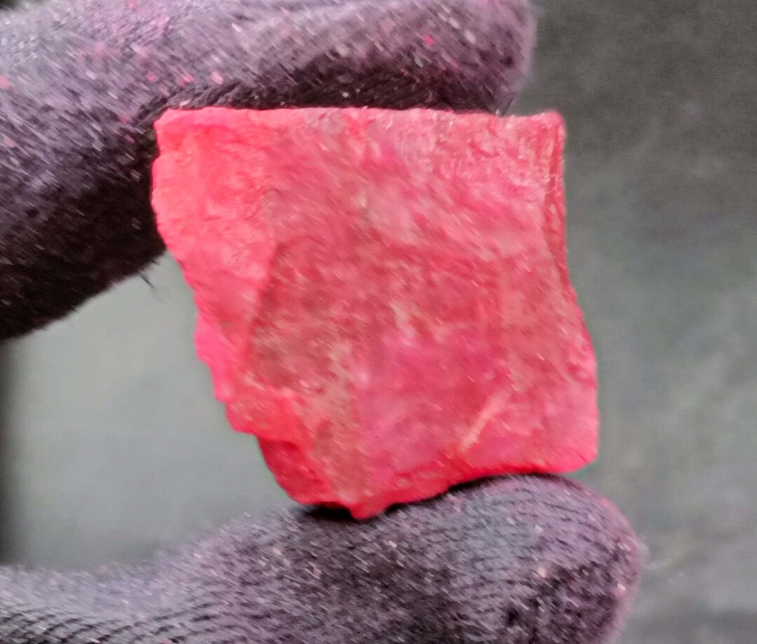 Fine Finish Deep Red Coral Raw From Italy 70-100 Ct Big Offer Natural ...