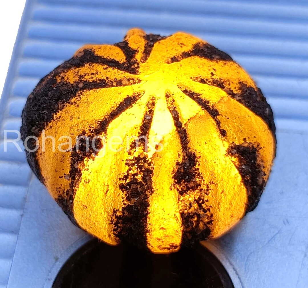 Rare Yellow Sapphire 43.95 Ct Melon Rough | Certified Natural African ...