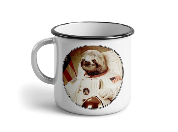 Astronaut Sloth Meme