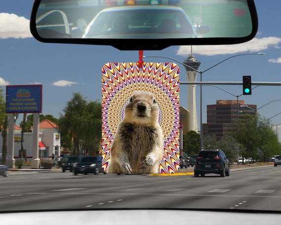 Photo Bombing Cute Squirrel Trippy Illusion Old School Retro | Etsy