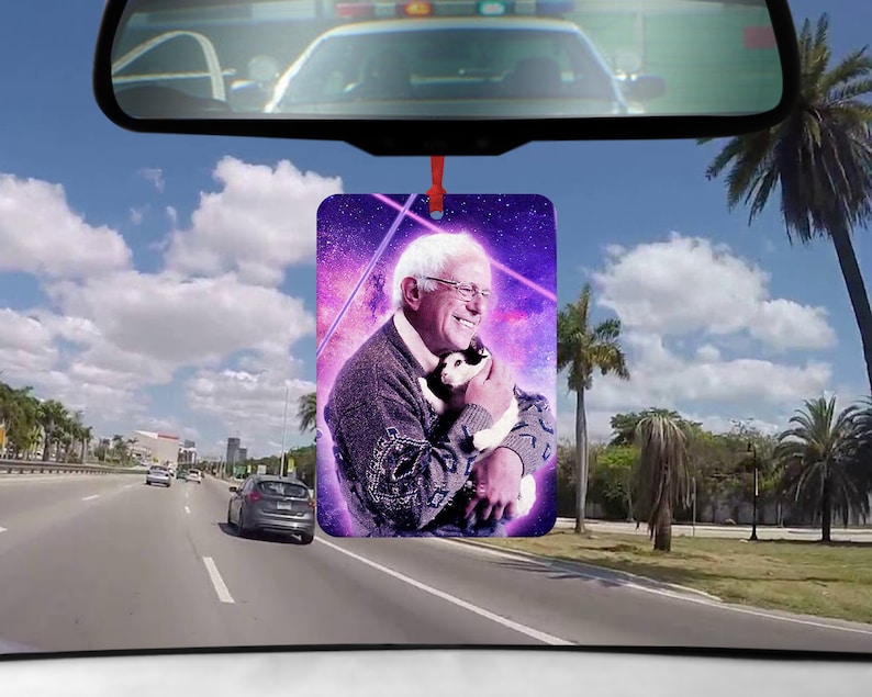 Bernie Sanders Cuddling Cute Pussy Cat Kitten in Space Pink - Etsy