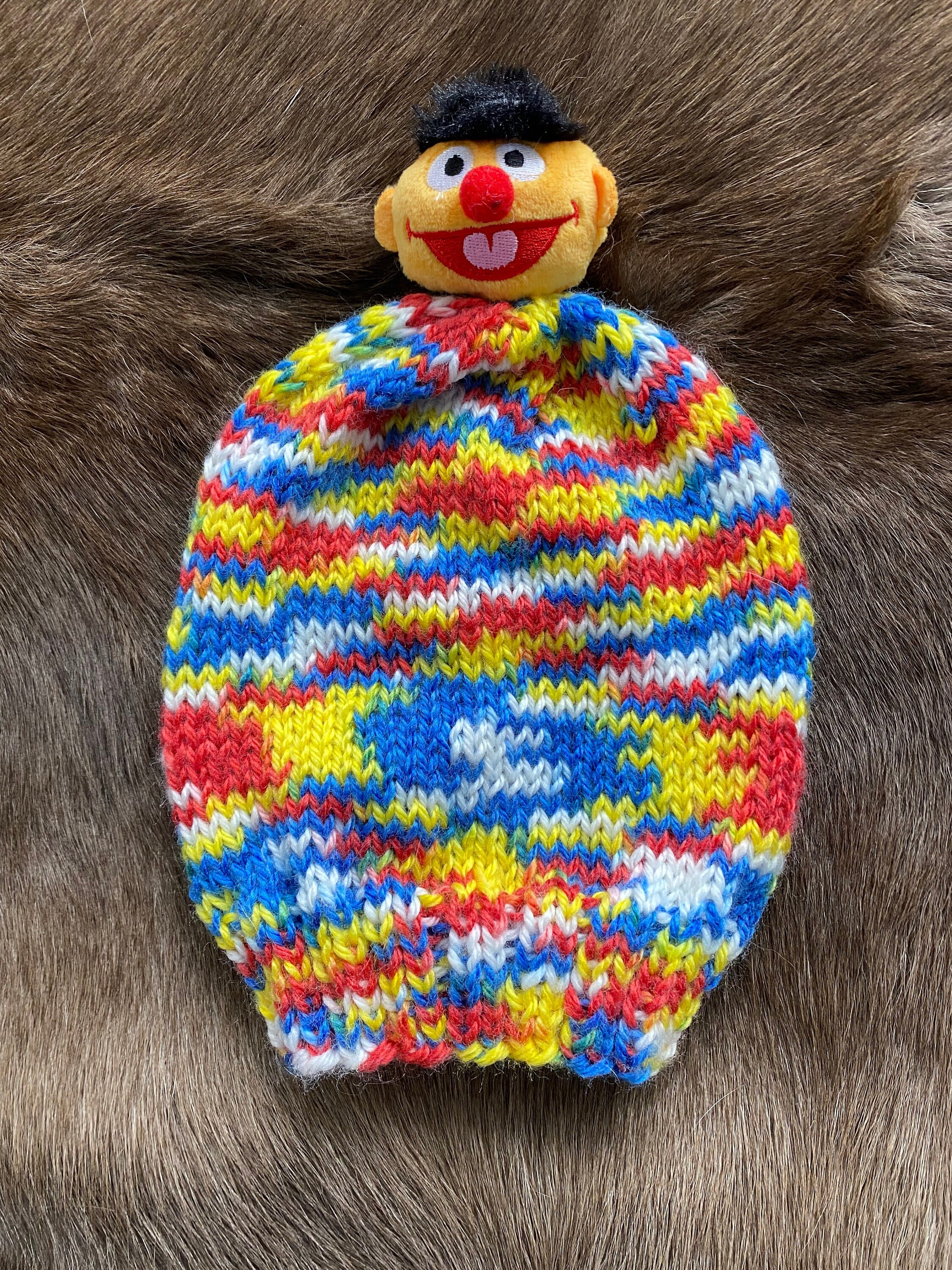 Sesame Street Ernie Head