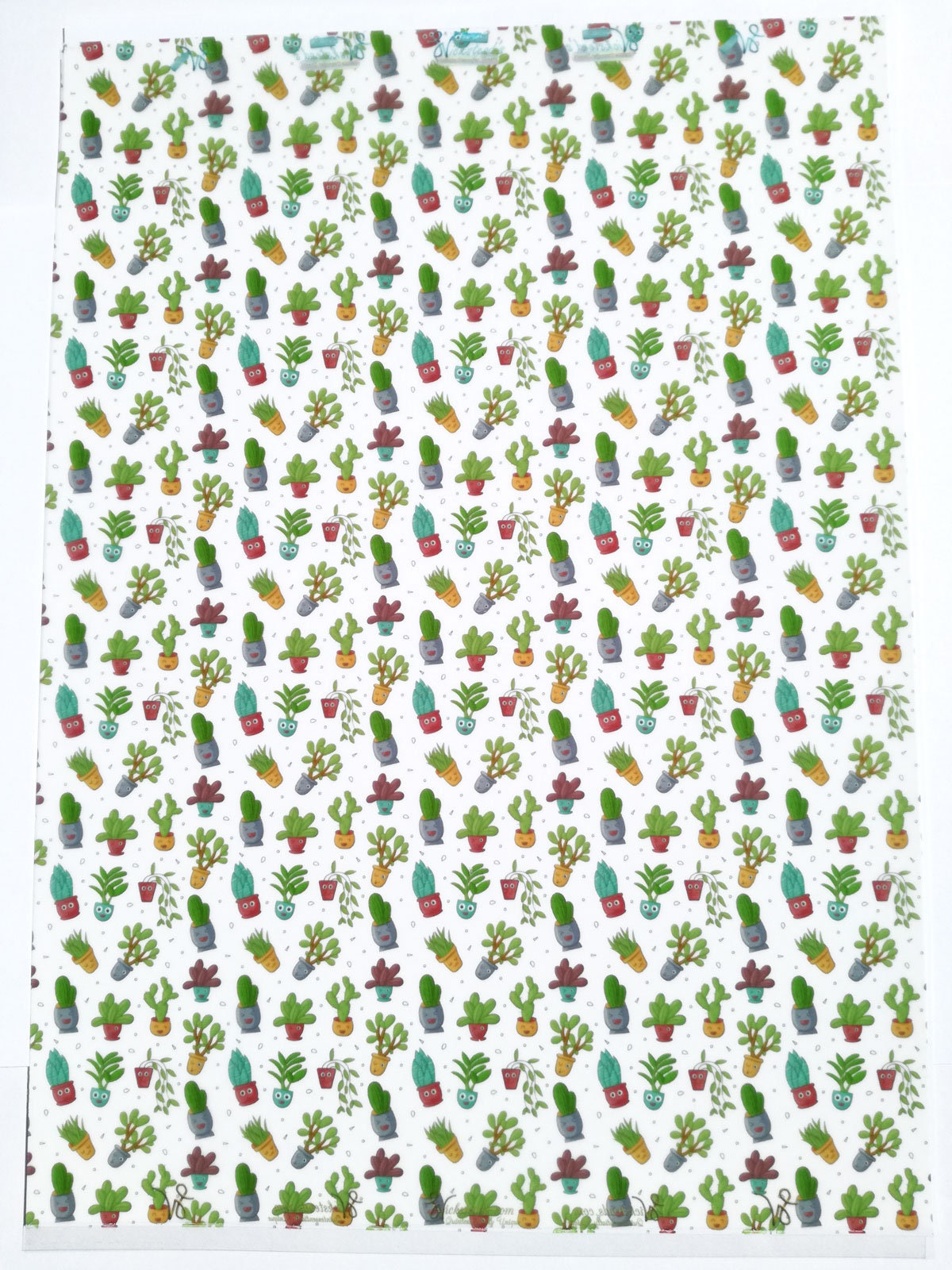 Edible Cute Kawaii Cacti Succulents Transfer Sheets Sugar Art | Etsy