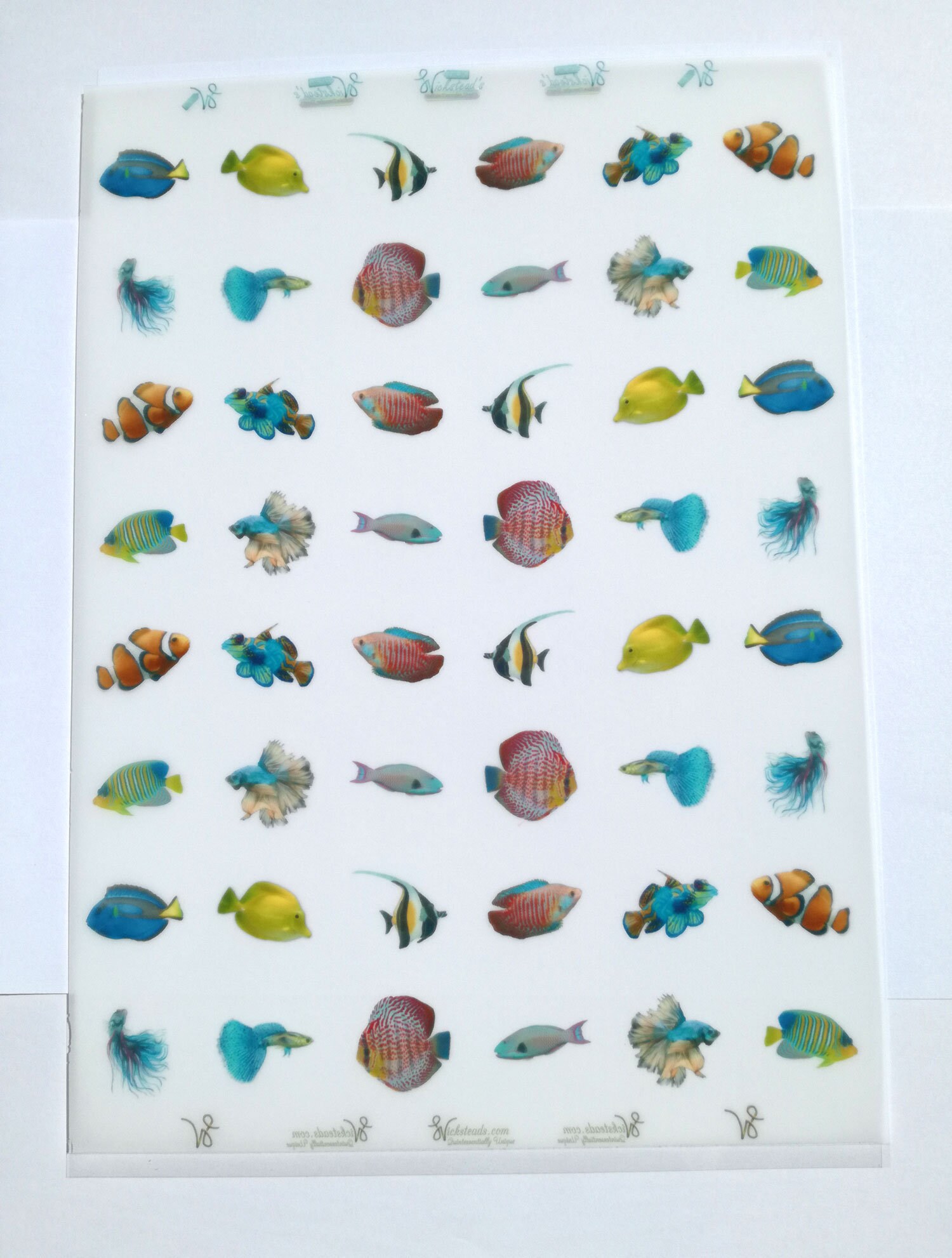 Edible Tropical Fish Transfer Sheets Sugar Art Stamps Tropic Sea Ocean ...