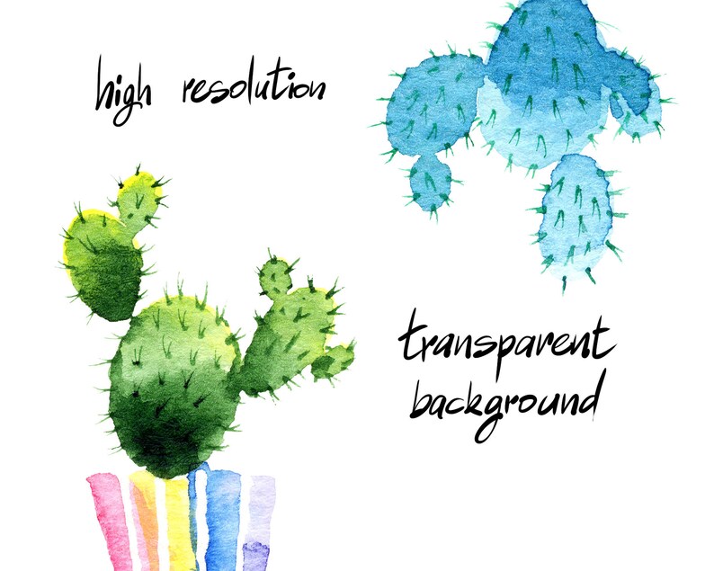 Cactus Clipart, Watercolor Clipart, Cactus, Green, Multi-pack ...