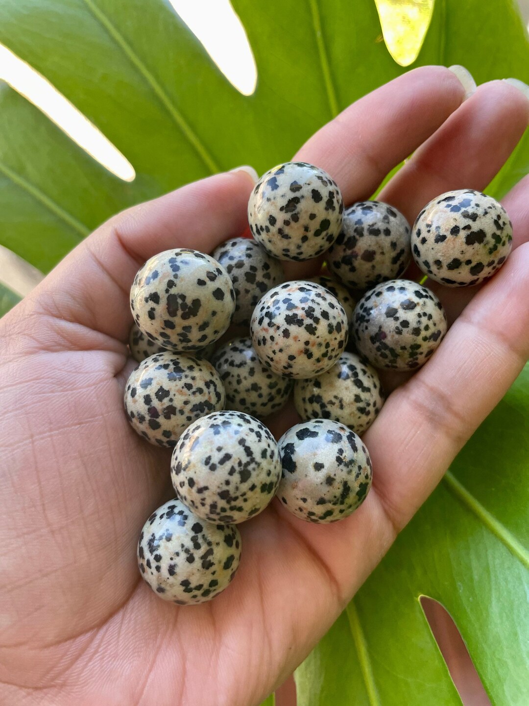 Dalmatian Jasper Mini Sphere, Dalmatian Jasper Ball, Jasper Sphere ...