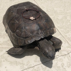 Sea Turtle Adjustable Leather Anklet, Leather and Sea Turtle Anklet ...