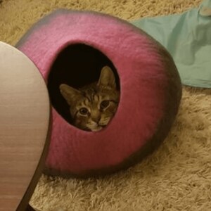 Premium Pink & Grey Cat Cave Hand Made Cat Bed - Etsy