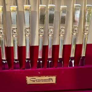 Vintage ONEIDA Community morning Star Pattern 1948 Silverplate 52 Piece ...