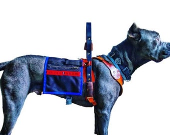 Service Dog Mobility Harness - Etsy