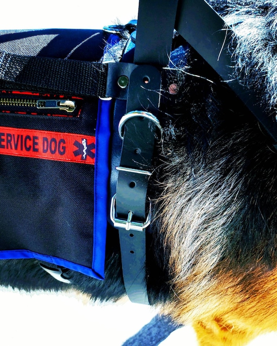 Service Dog Mobility Harness