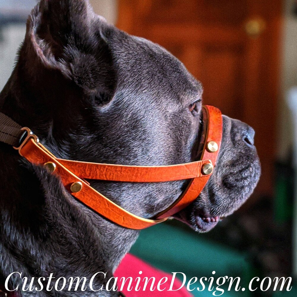 CustomCanineDesign - Etsy