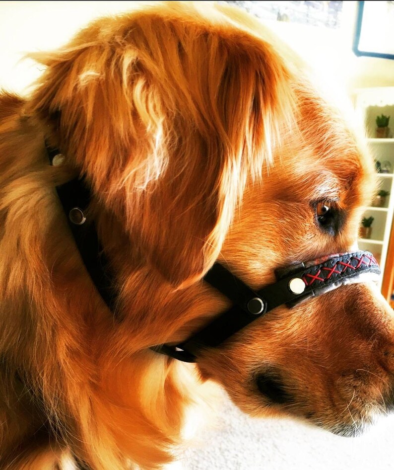 K9 Head Harness Padded - Etsy