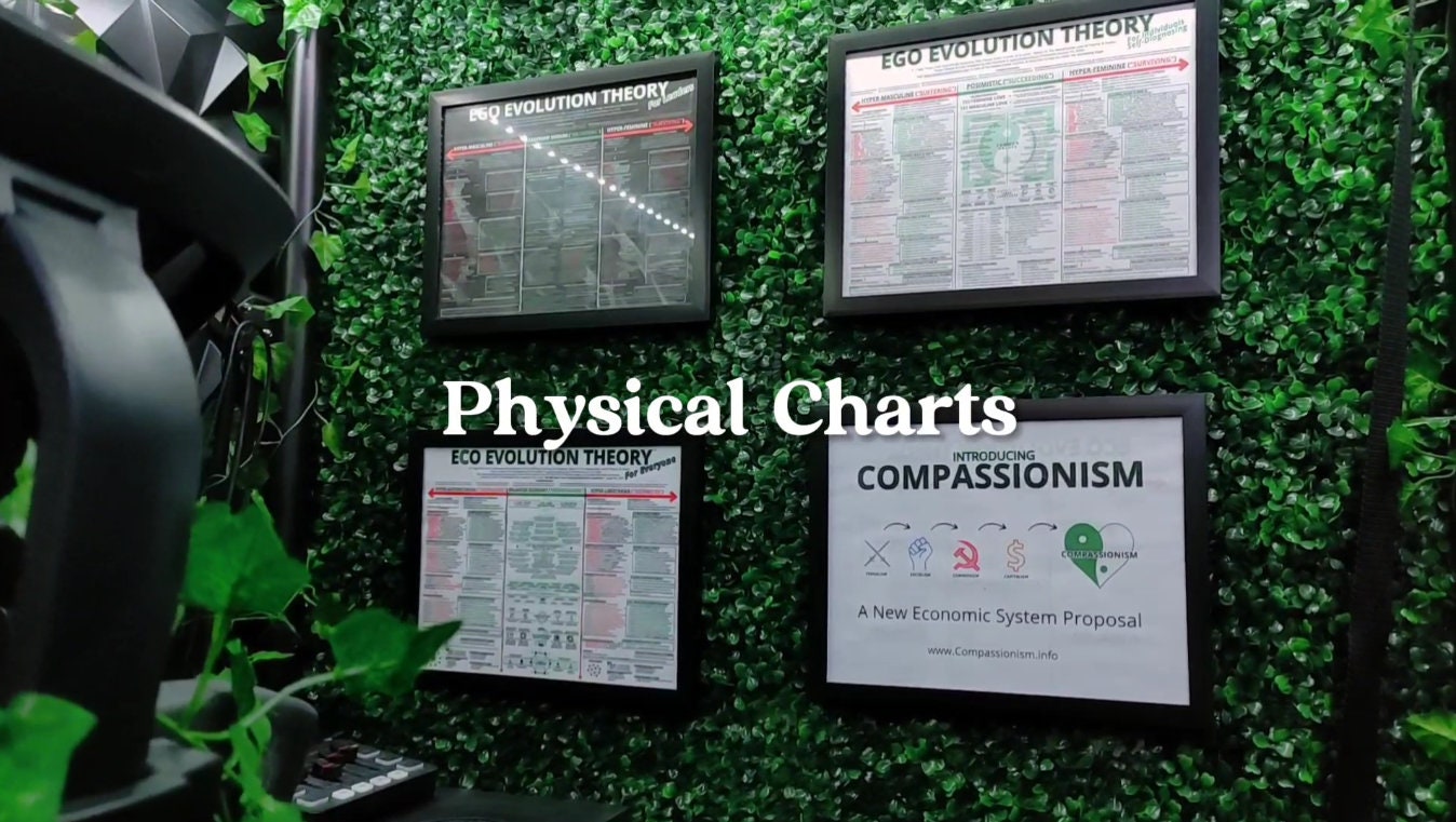 Ego Evolution Theory Charts for Individuals Self-diagnosing. A 8.5 X 11 ...