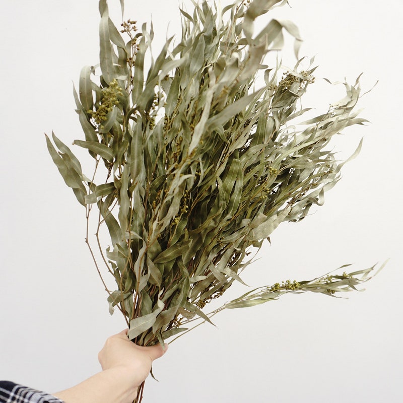 Dried Greenery - Etsy