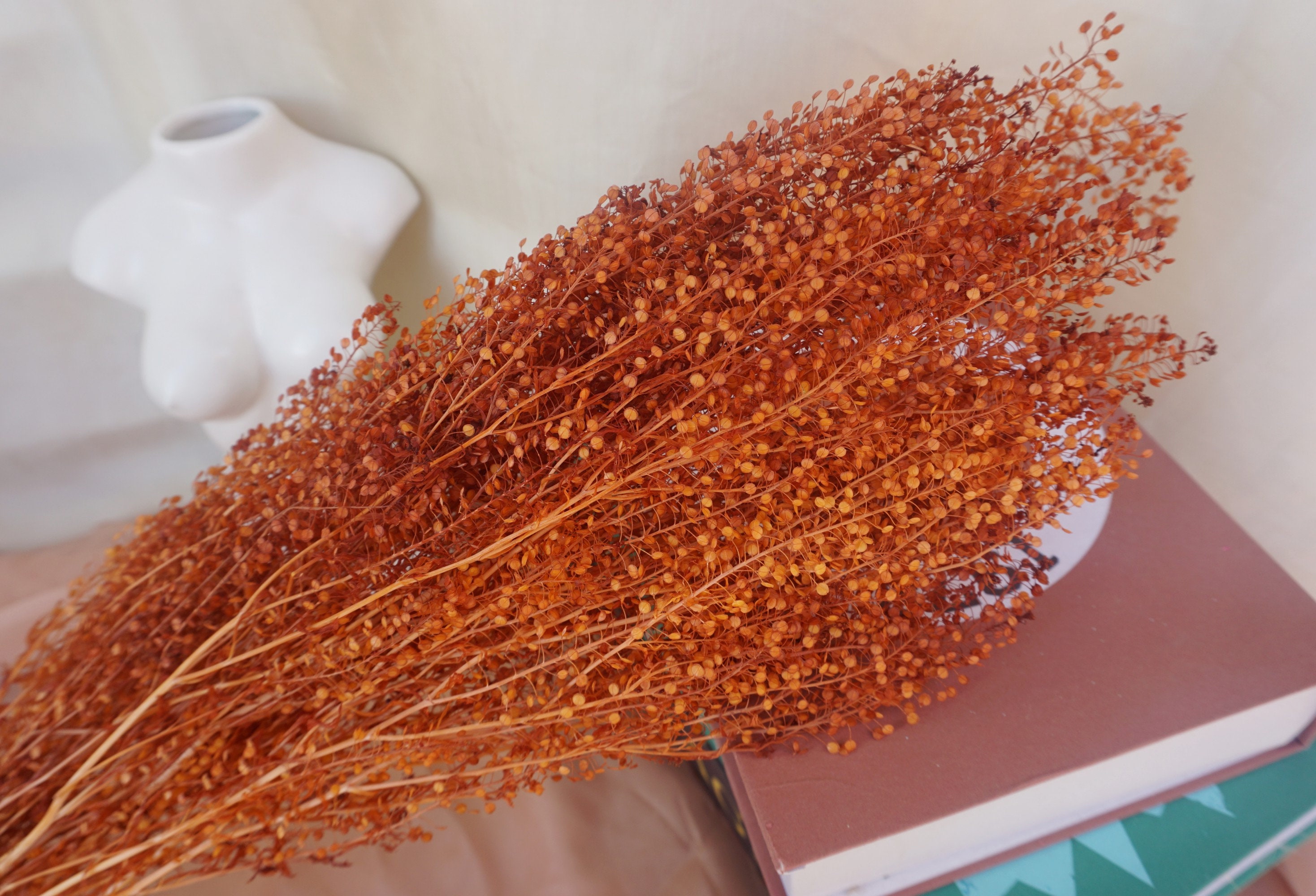 Dried Bleached Lepidium Bunchnatural Lepidium Vase Decor - Etsy