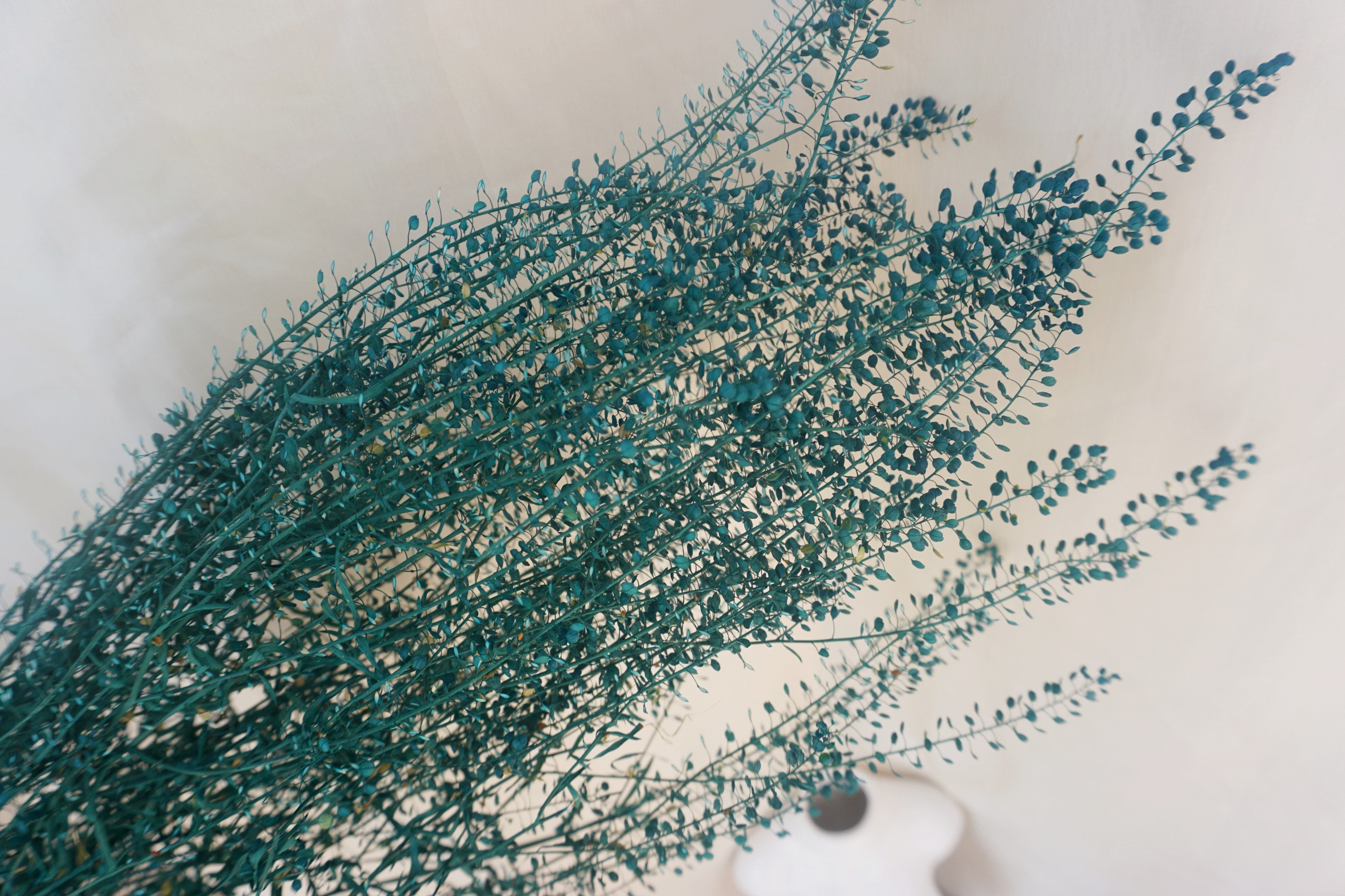 Dried Bleached Lepidium Bunchnatural Lepidium Vase Decor - Etsy