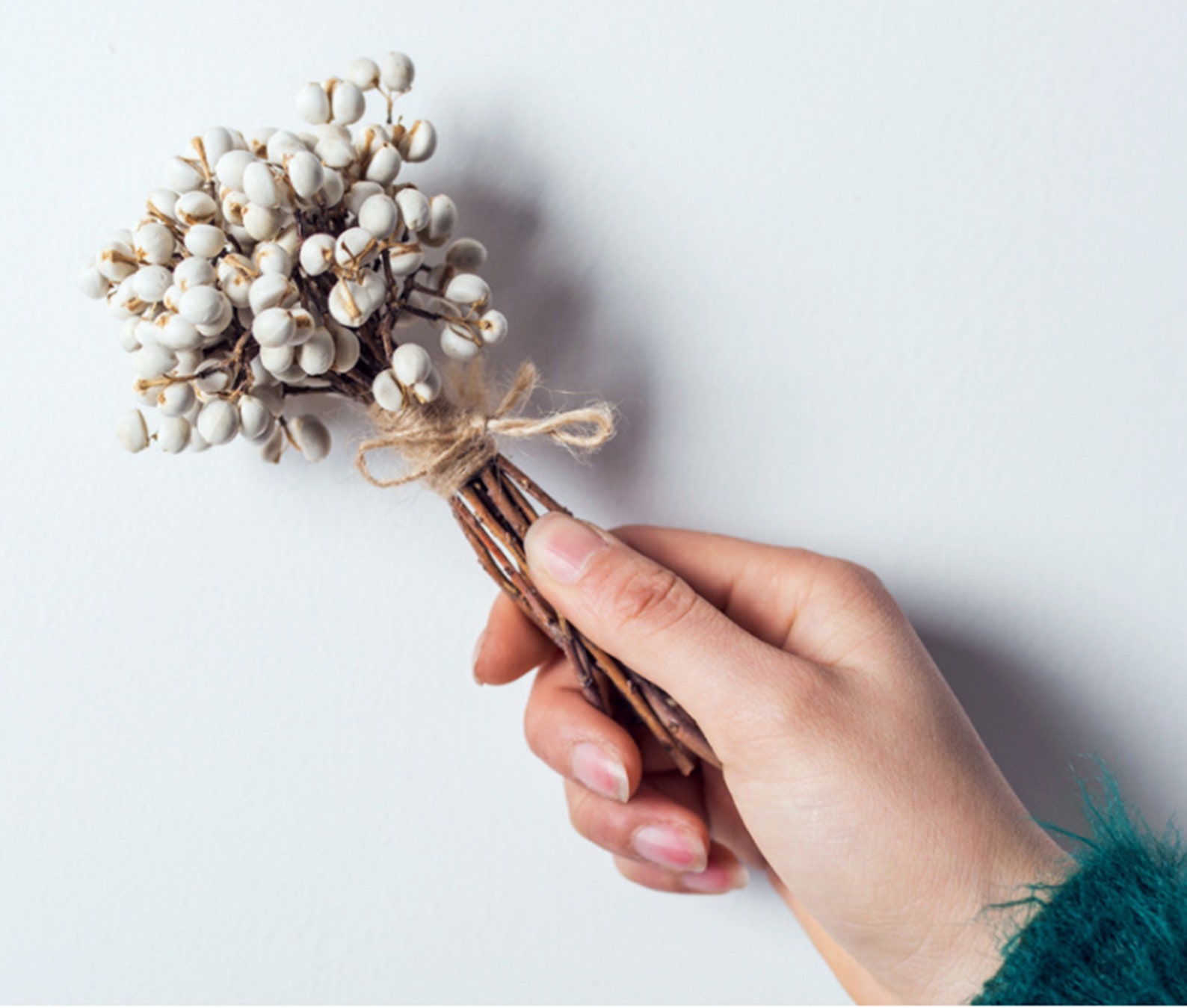 20 Stems Dried Natural Tallow Berries/6''10'' L/dried Tallow Berry - Etsy