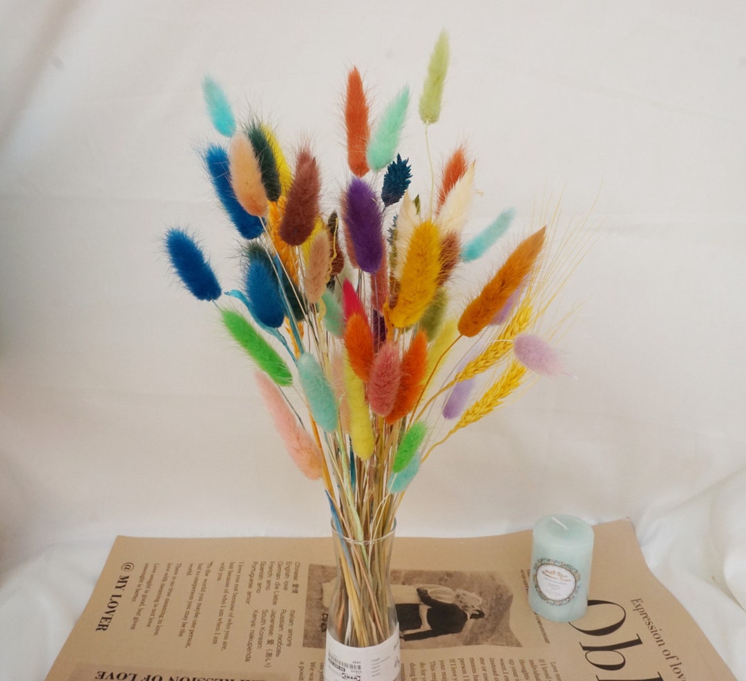 55 Stems Deep Mixed Color Natural Rabbit Tail Mini Rabbit Tail Beam ...