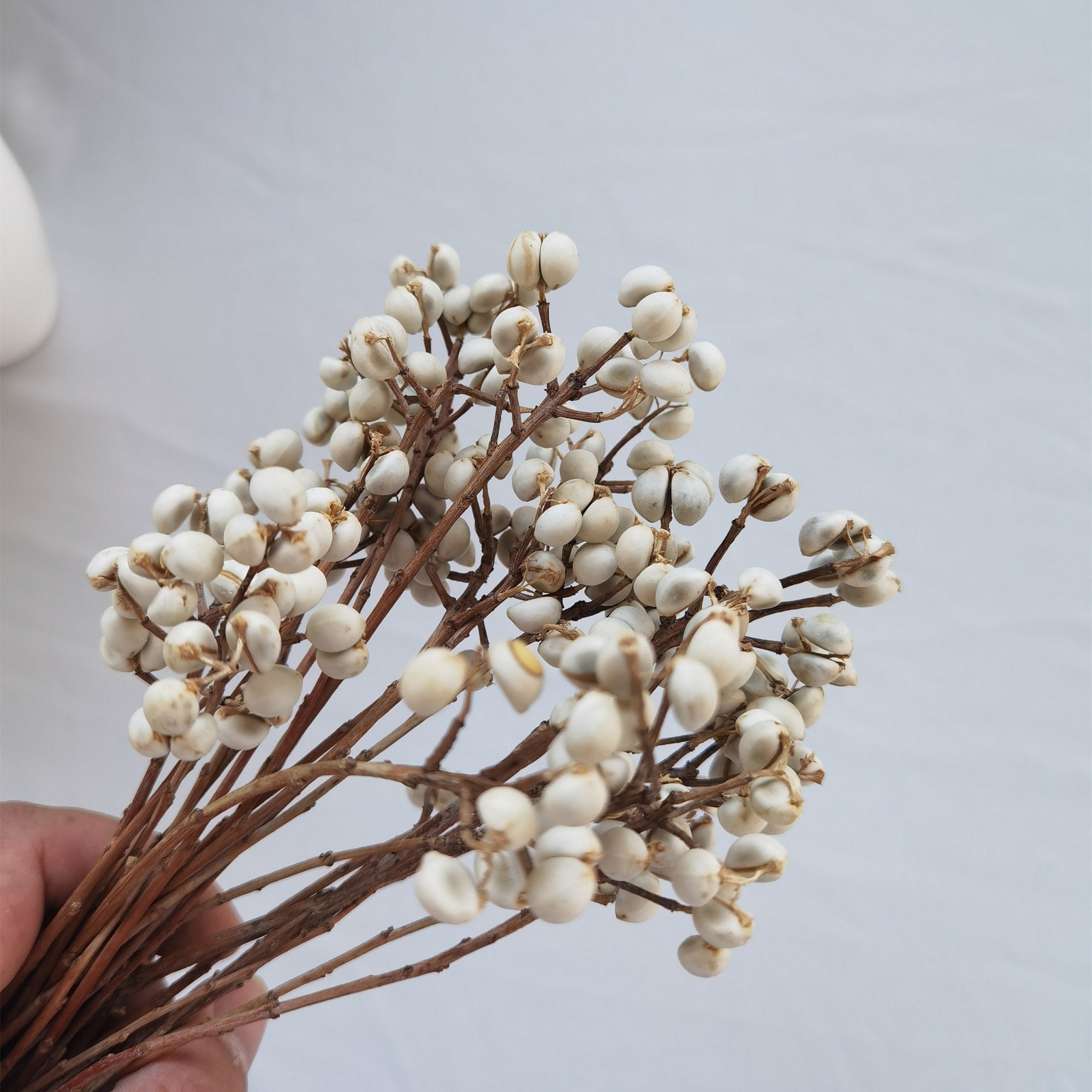 20 Stems Dried Natural Tallow Berries/6''-10'' L/dried Tallow Berry - Etsy