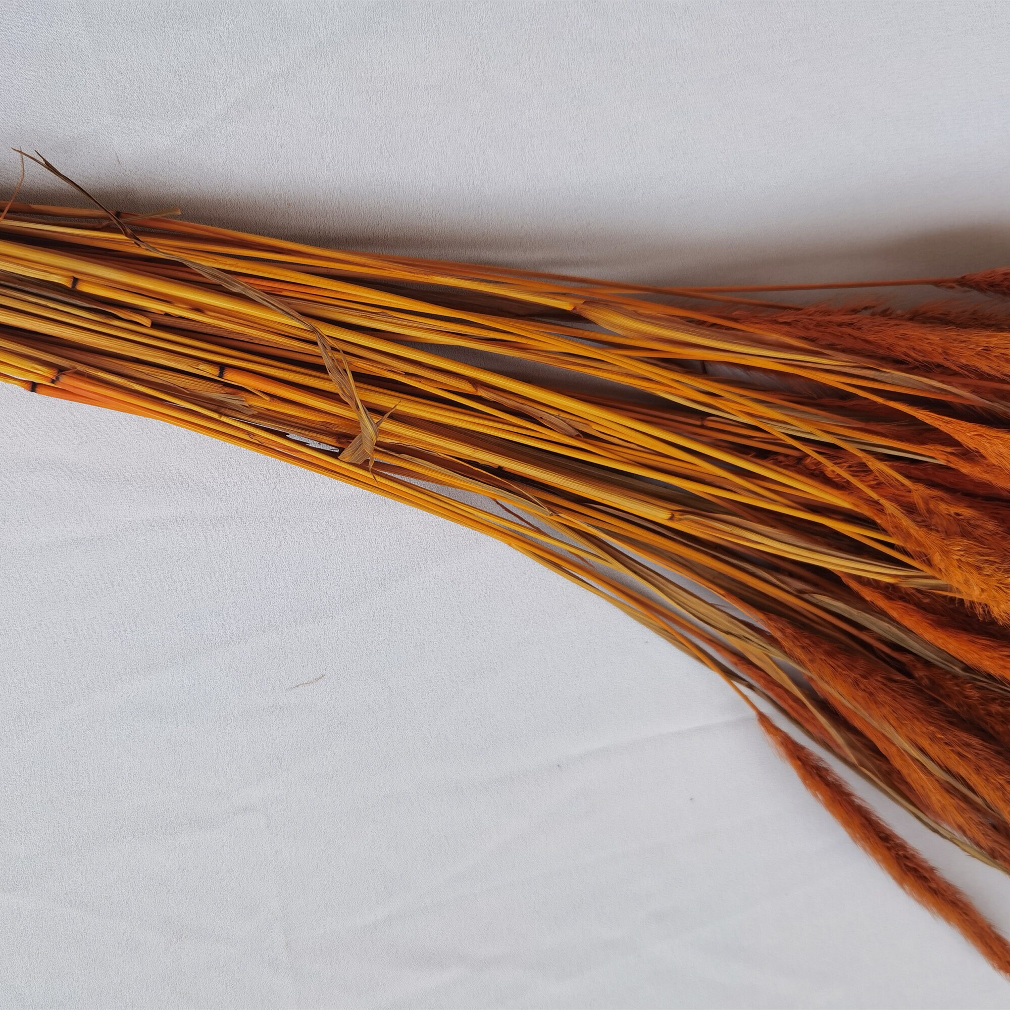 Flower Element, DIY Bouquet Rust, Terracotta ,seteria Bundle,dried ...