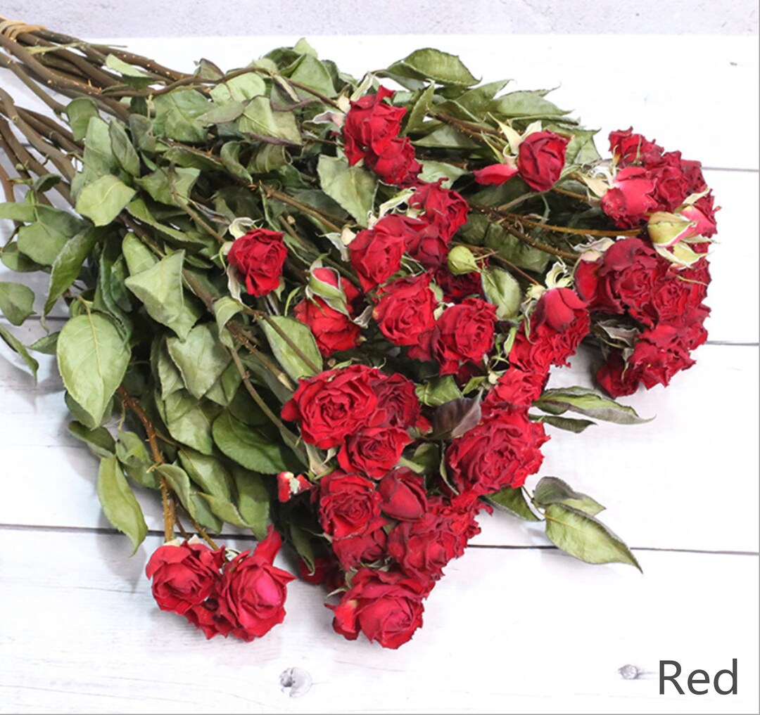 30 Bloom Dried Rosebuds, Miniature Roses, Pink, Red, Wedding Decoration ...