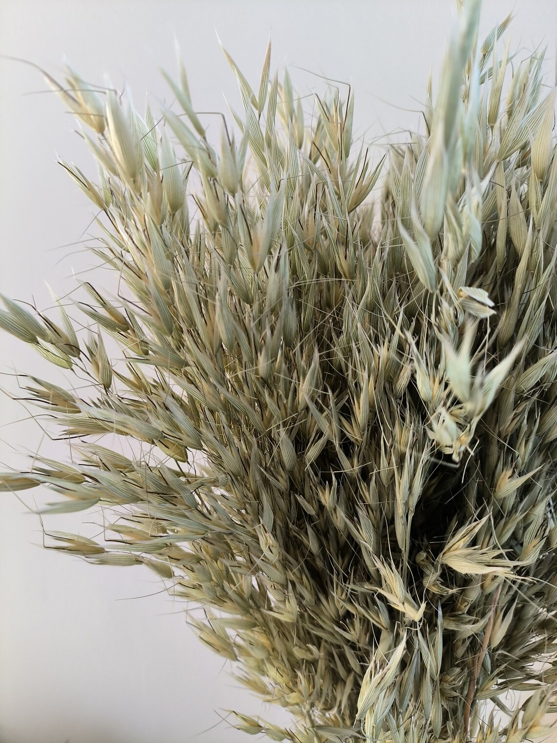 Natural Oats, Dry Oats, Family Wedding Flower Arrangement Decoration ...