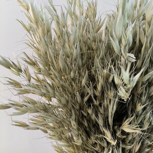 Natural Oats, Dry Oats, Family Wedding Flower Arrangement Decoration ...