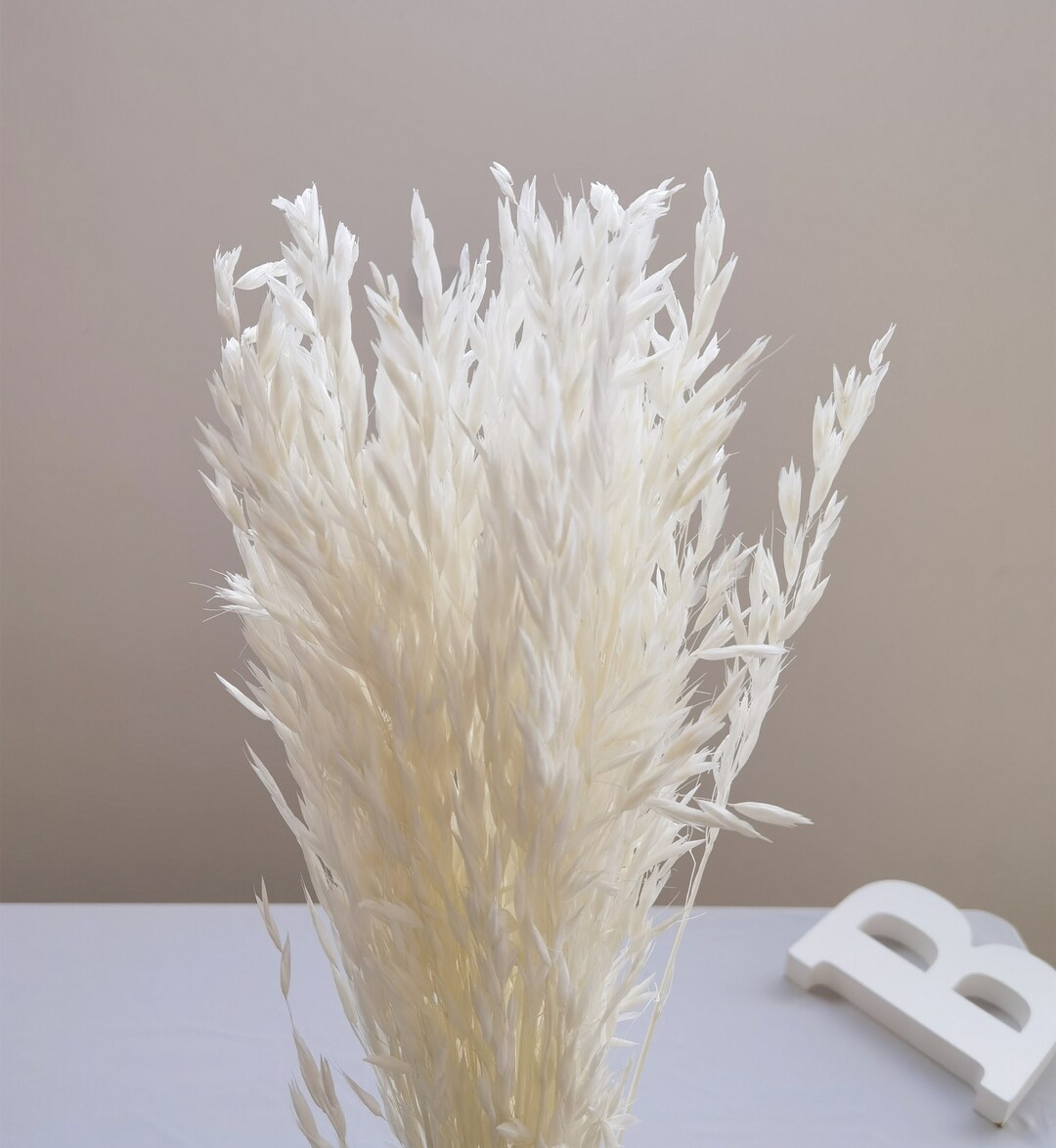 Bleached Oats, Dried Flower Arrangement, DIY Bouquet Element - Etsy