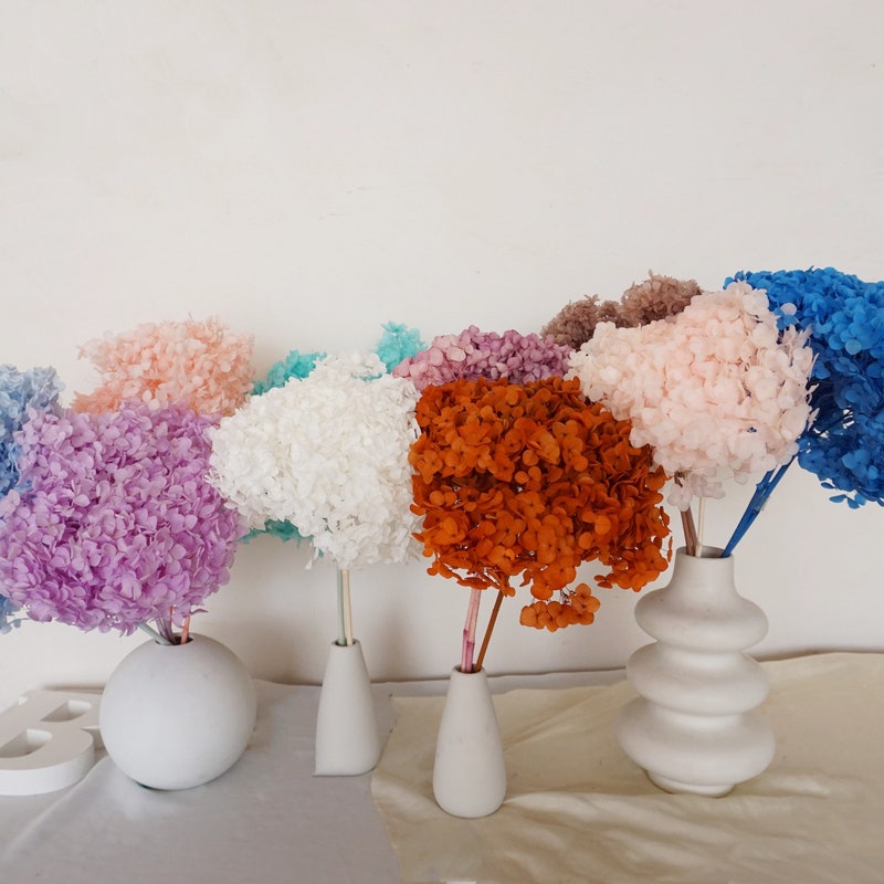 Preserved Hydrangea in Vase - Etsy UK