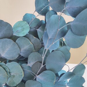 Preserved Flower Blue Round Leaf Eucalyptus, Home Wedding, Event, DIY ...