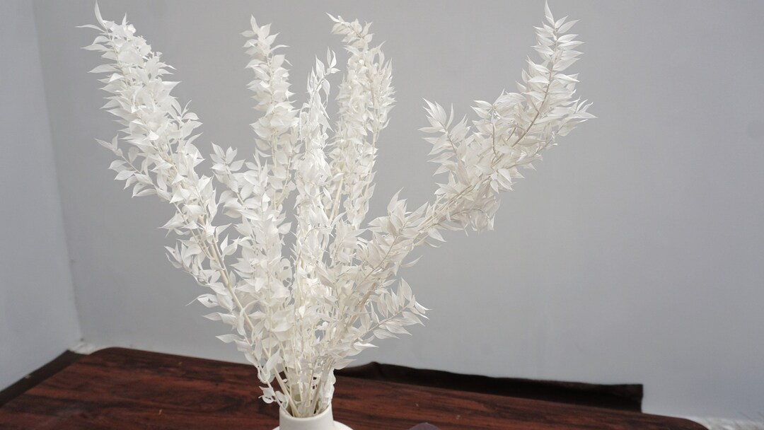 3 Stems Premium Italian White Ruscus ,preserved Stems ,boho Wedding ...