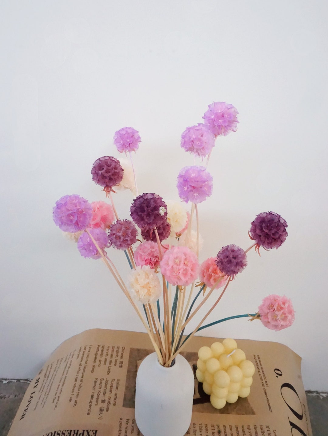 10 Heade Windmill Fruit, Natural Dried Flowers, Blush Flowers, Home ...