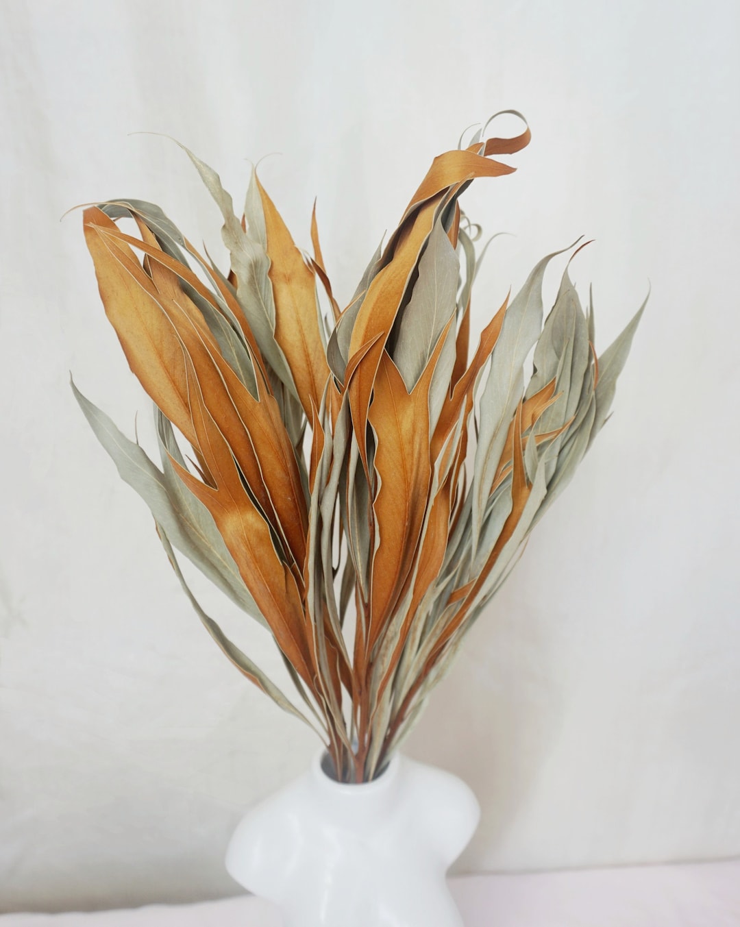 Dried Magnolia Leaves Natural - Wedding Decor - Rustic Bouquets ...