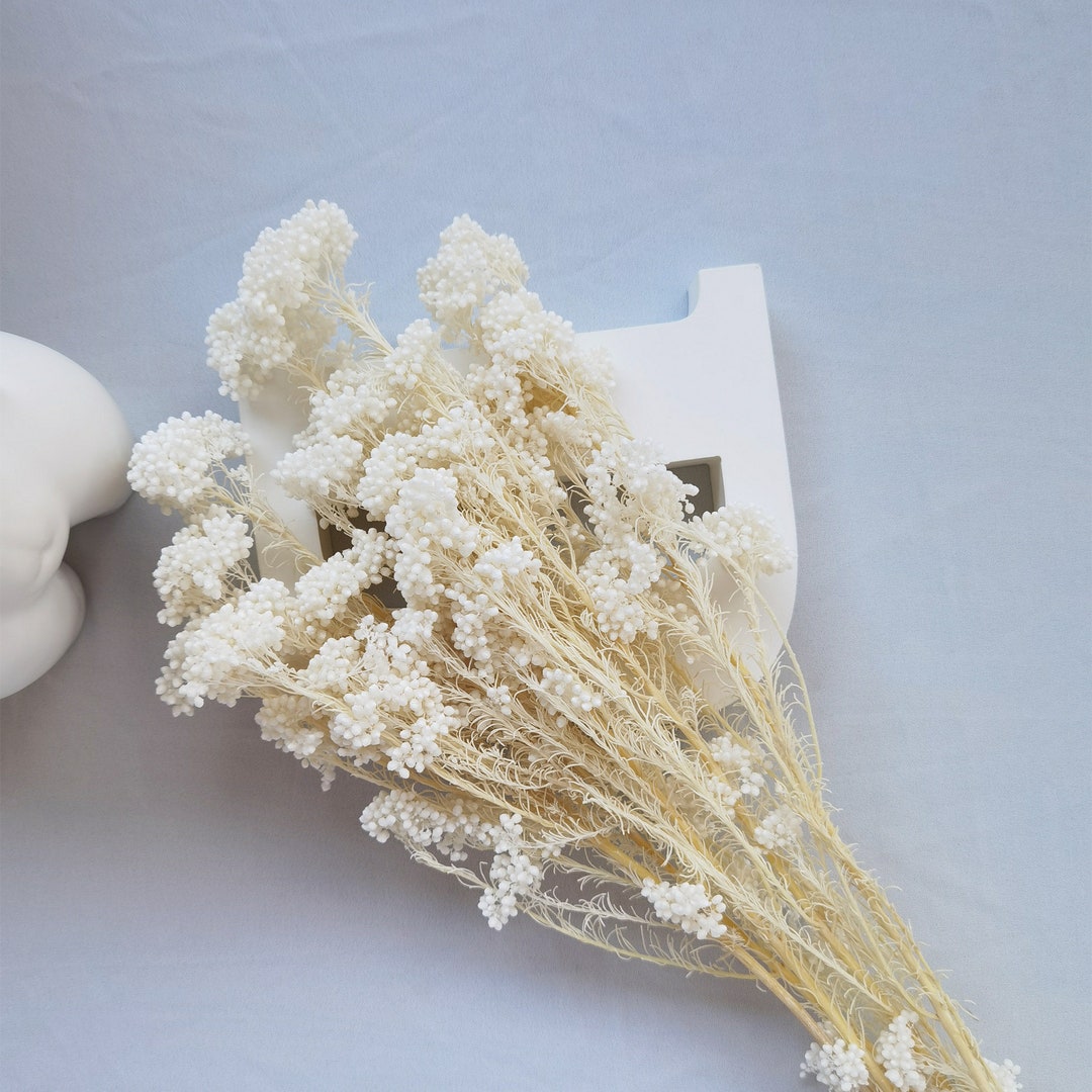 Bleached Rice Flower Bouquet, DIY Boho Wedding Decor - Etsy