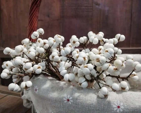 20 Stems Dried Natural Tallow Berries/6''10'' | Etsy