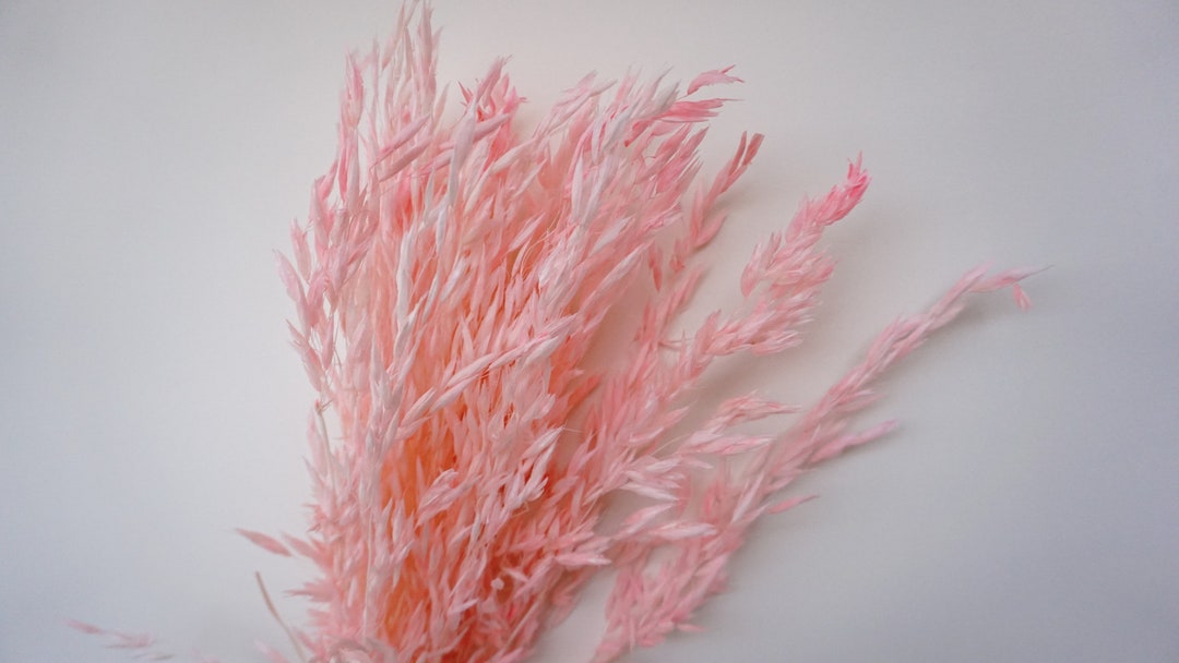 Pink Oats, Dry Oats, Family Wedding Flower Arrangement Decoration, DIY ...