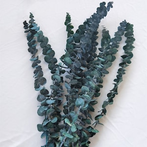 Preserved Eucalyptus Branches, DIY Flower Arrangement, Family Wedding ...