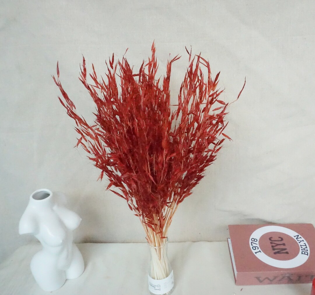 About 50 Stems Burnt Orange Oats ，dry Oats/oat Flower Stems, Home ...