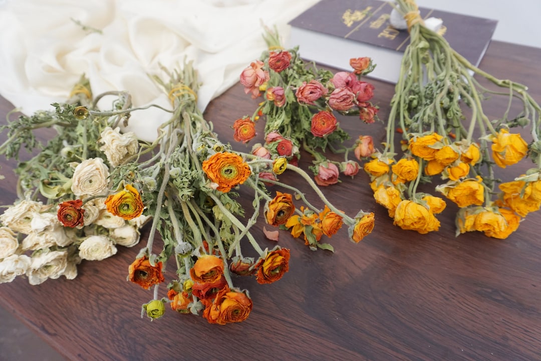 Natural Dry Ranunculus Asiaticus, Dry Peony, Wedding Flower Arrangement ...