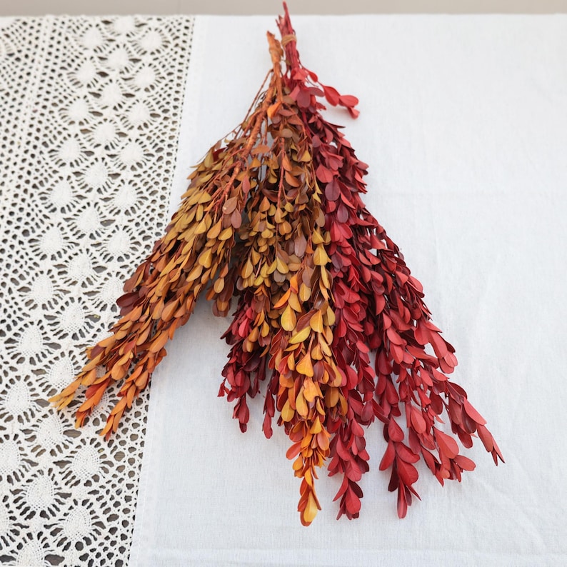Preserved Boxwood Tall Leaves Eucalyptus Wedding Garlands Home ...