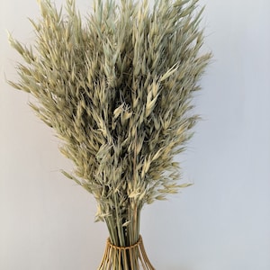 Natural Oats, Dry Oats, Family Wedding Flower Arrangement Decoration ...