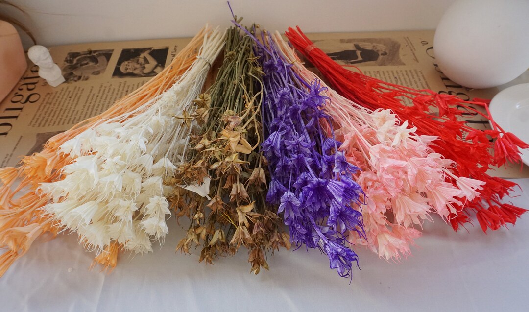 Star Anise Bleached Dried Flowers, Multicolored Star Anise, Wedding ...