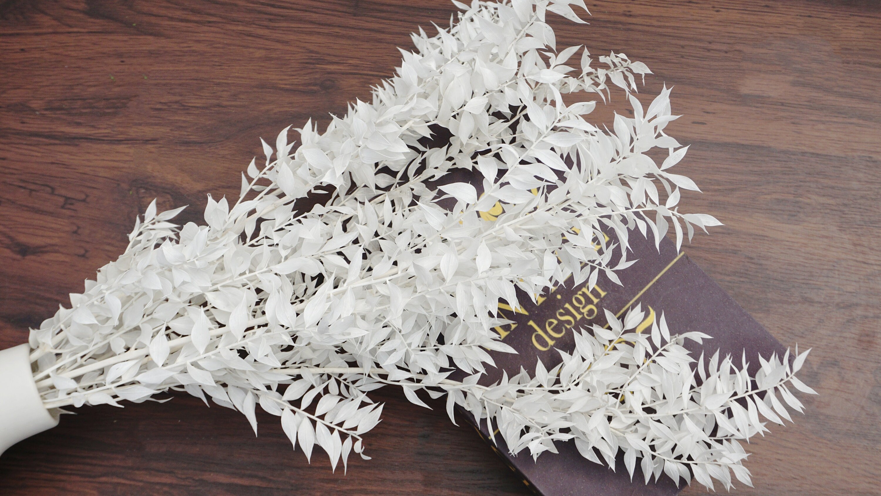 3 Bleached White Italian Ruscus Stems, Preserved Boho Decor - Etsy