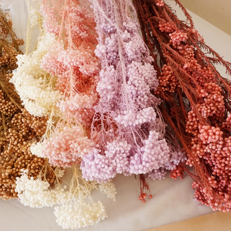 Rice Flower and Shea - Etsy