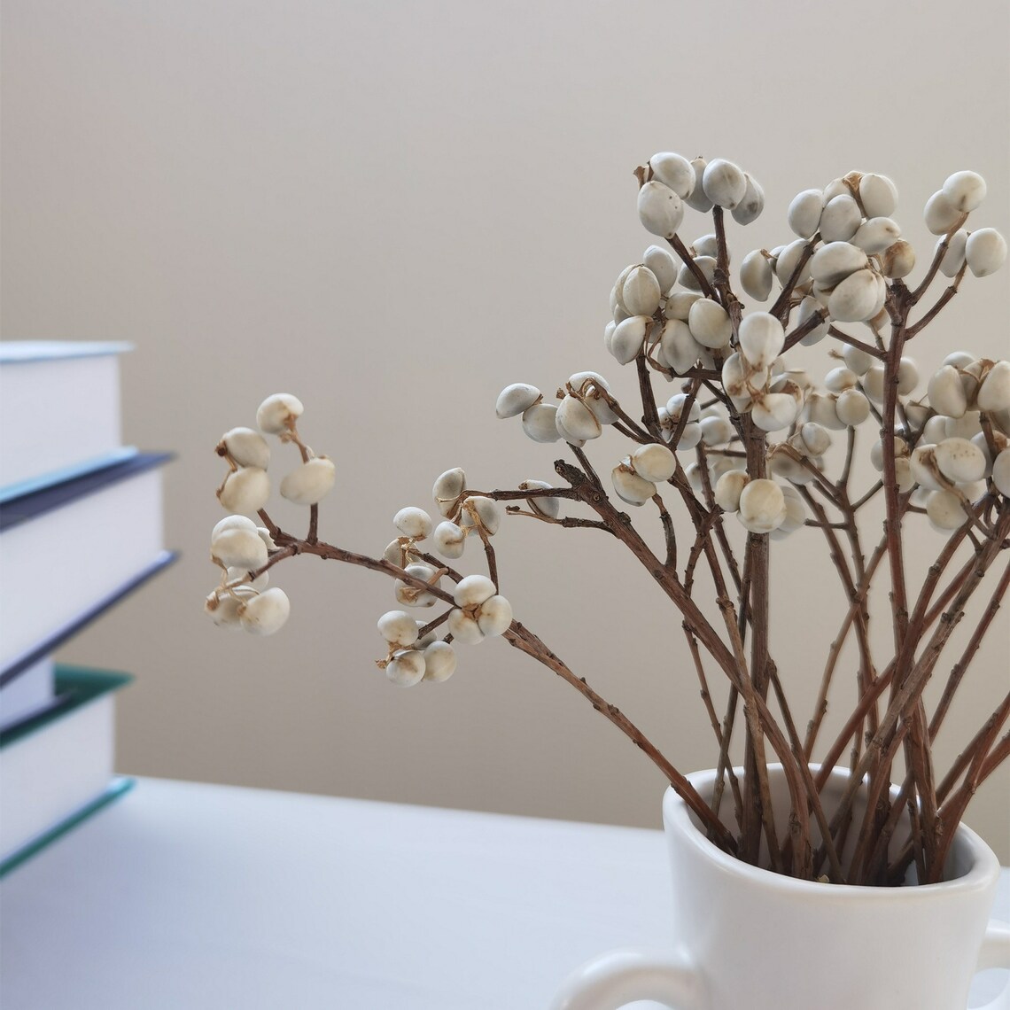 20 Stems Dried Natural Tallow Berries/6''10'' - Etsy