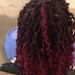 100 Small 10 Inch Locs - Etsy