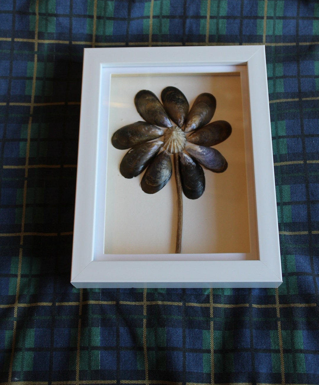 Handmade Pebble and Shell Mussel Flower Picture - Etsy